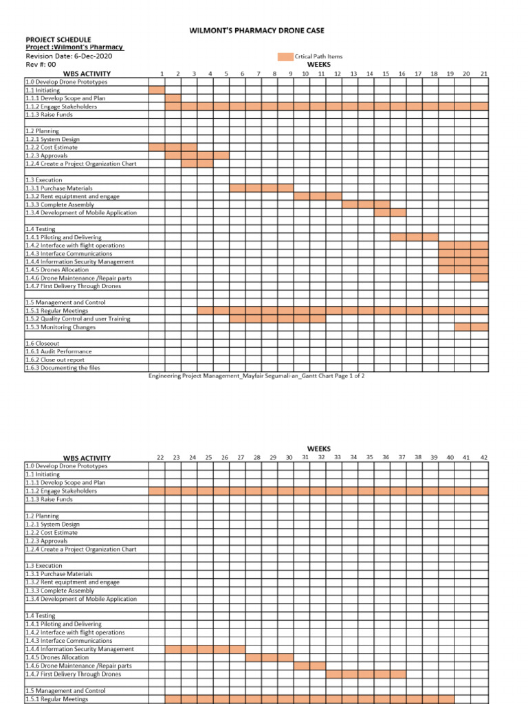 MDS - Wilmont Pharmacy Drone - Gantt Chart | PDF