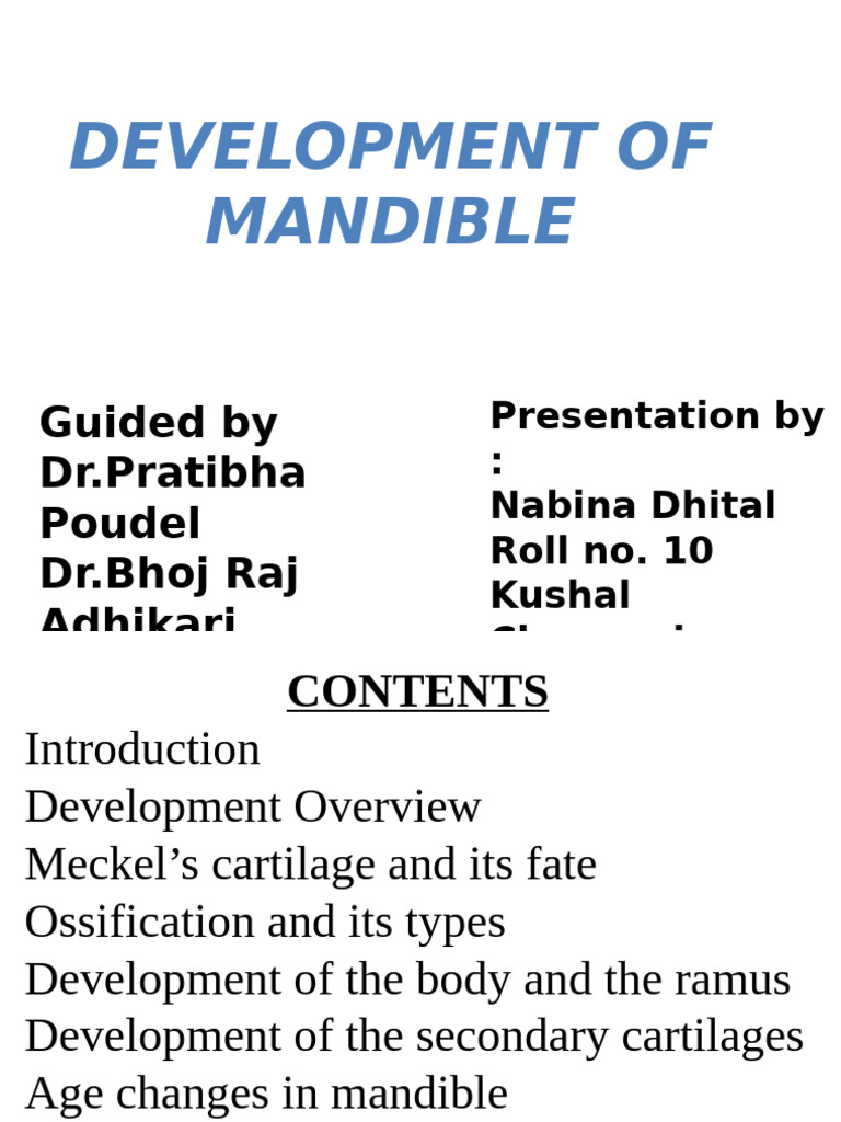 Mandible Development: Overview and Insights | PDF | Human Head And Neck ...