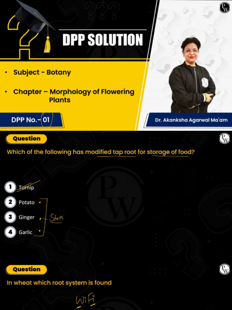 Morphology in Flowering Plants - Solution Notes To DPP 01 - Yakeen NEET ...