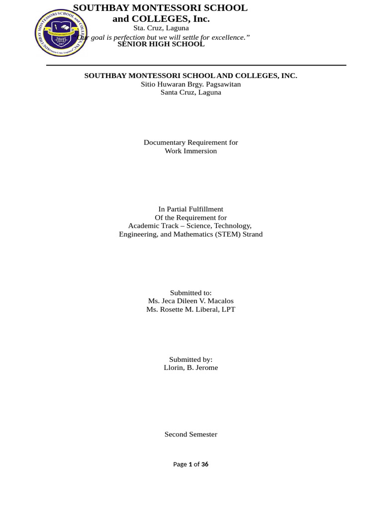 Work Immersion Report: STEM Student | PDF