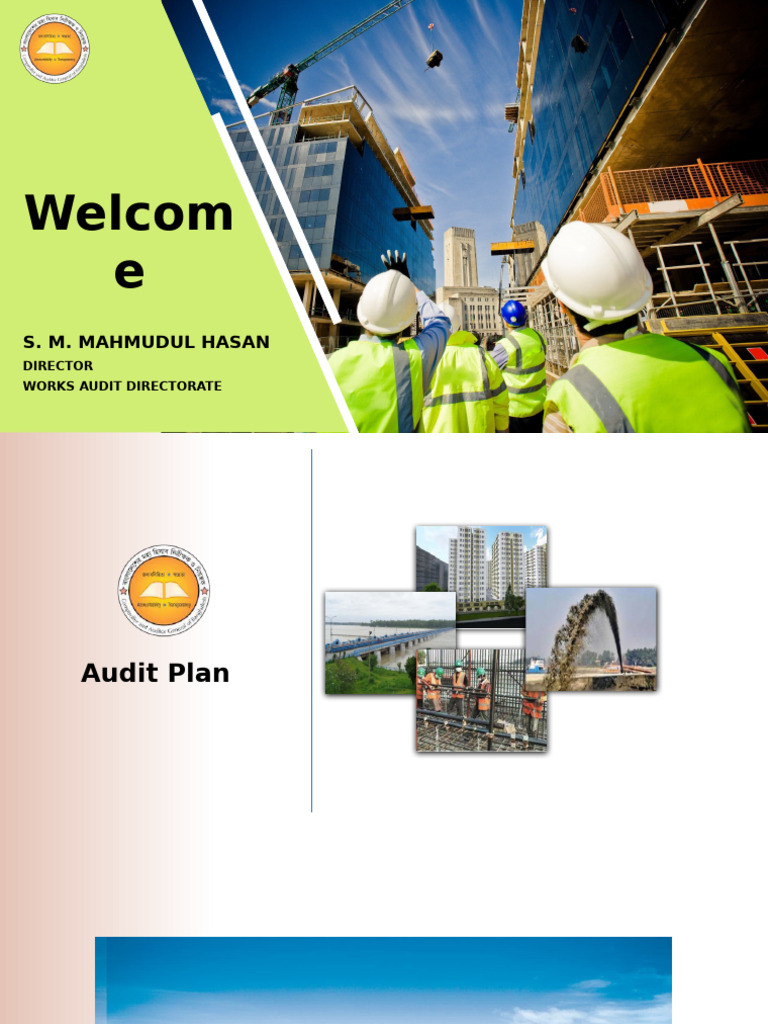 Audit Plan | PDF | Audit | Risk