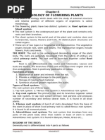Morphology of Flowering Plants Annotated NCERT | PDF