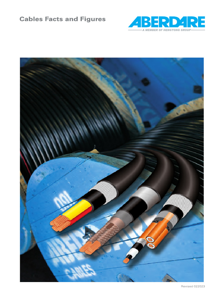 Facts Figures English 2025 | PDF | Electrical Conductor | Electricity