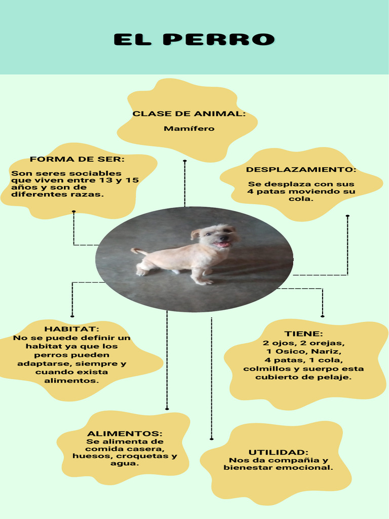 Características y Hábitat del Perro | PDF