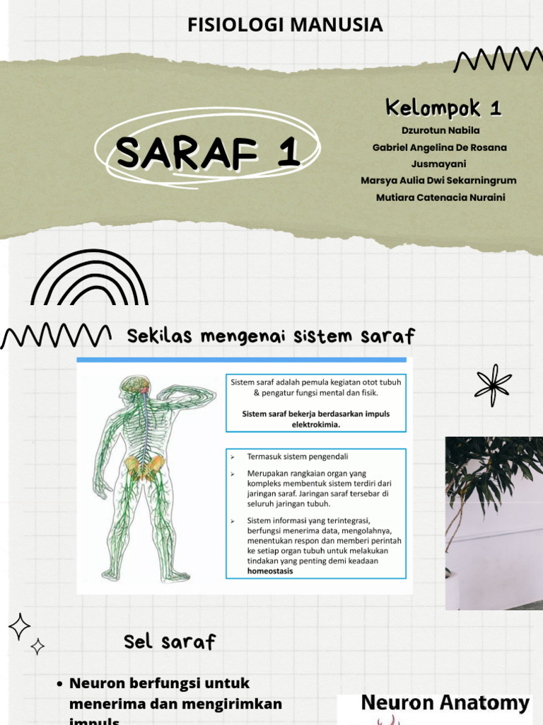 Saraf 1 | PDF