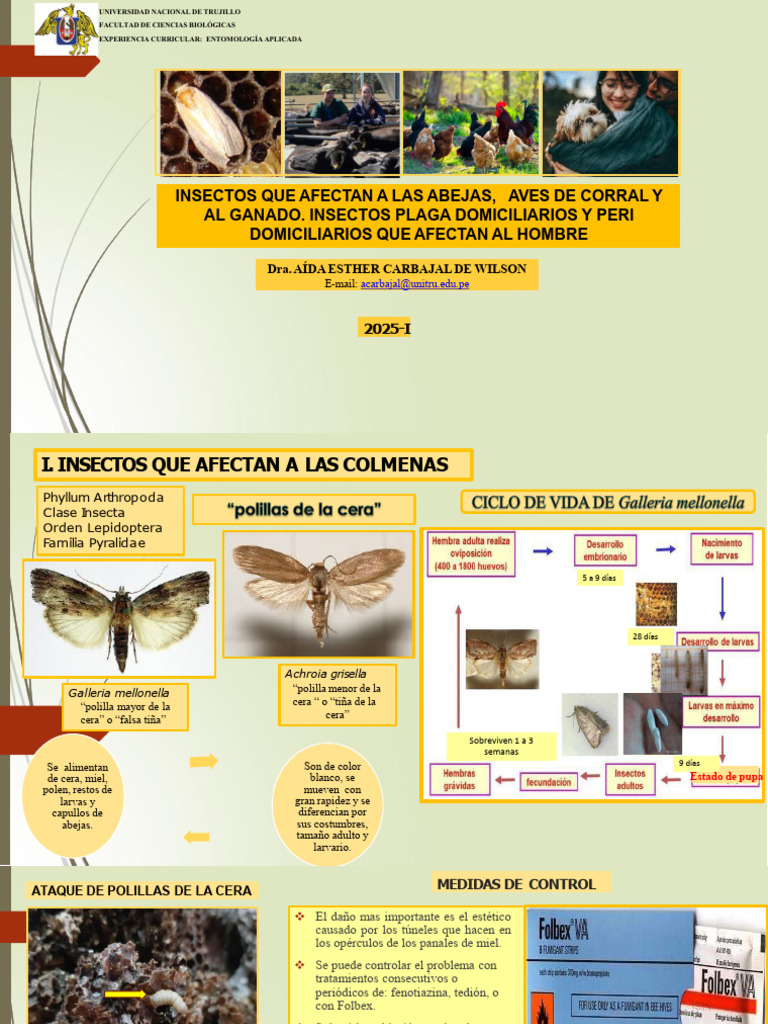 Insectos Plaga en Abejas y Ganado | PDF | Mosca | Insectos
