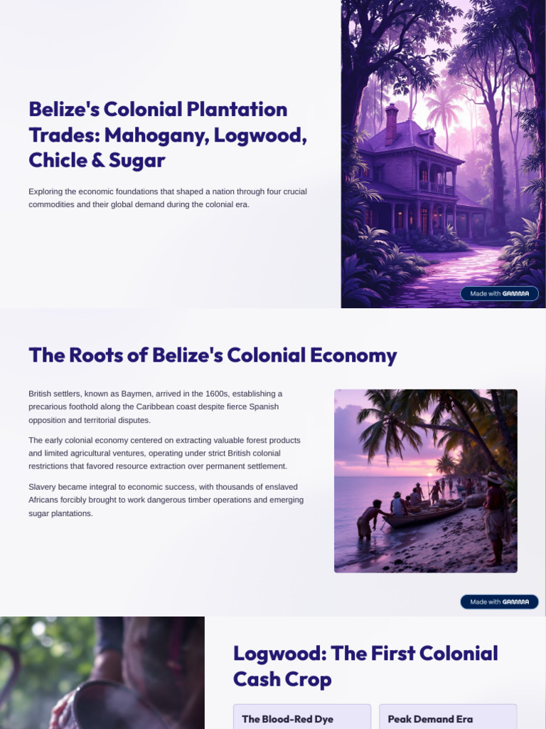 Belizes Colonial Plantation Trades Mahogany Logwood Chicle and Sugar ...