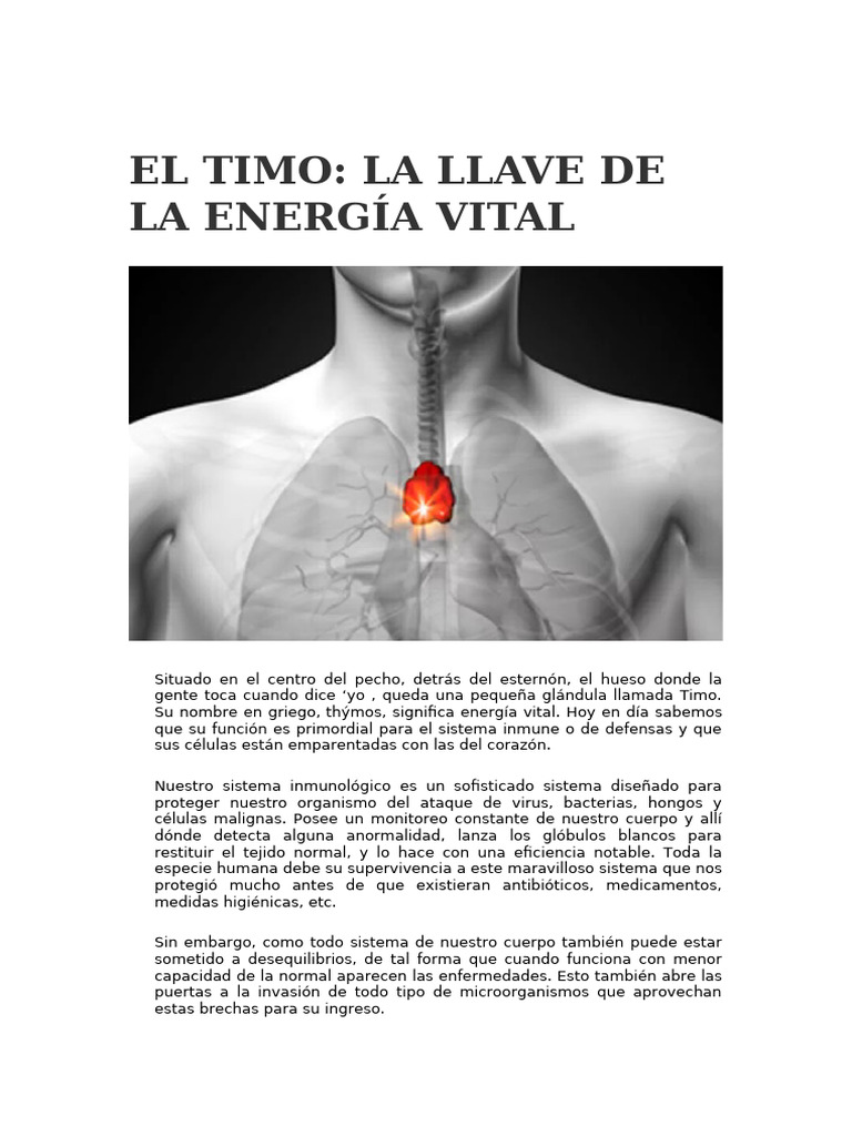 El Timo Pdf Sistema Inmune Enfermedad Autoinmune