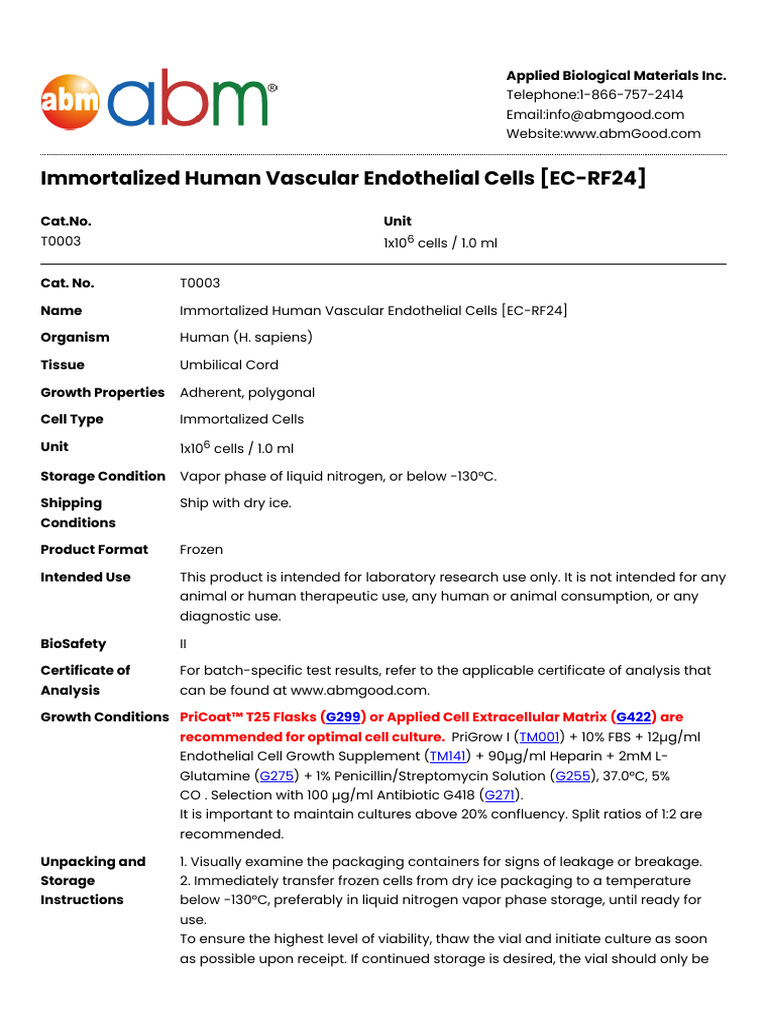 Abmgood - Immortalized Human Vascular Endothelial Cells (EC-RF24) | PDF ...