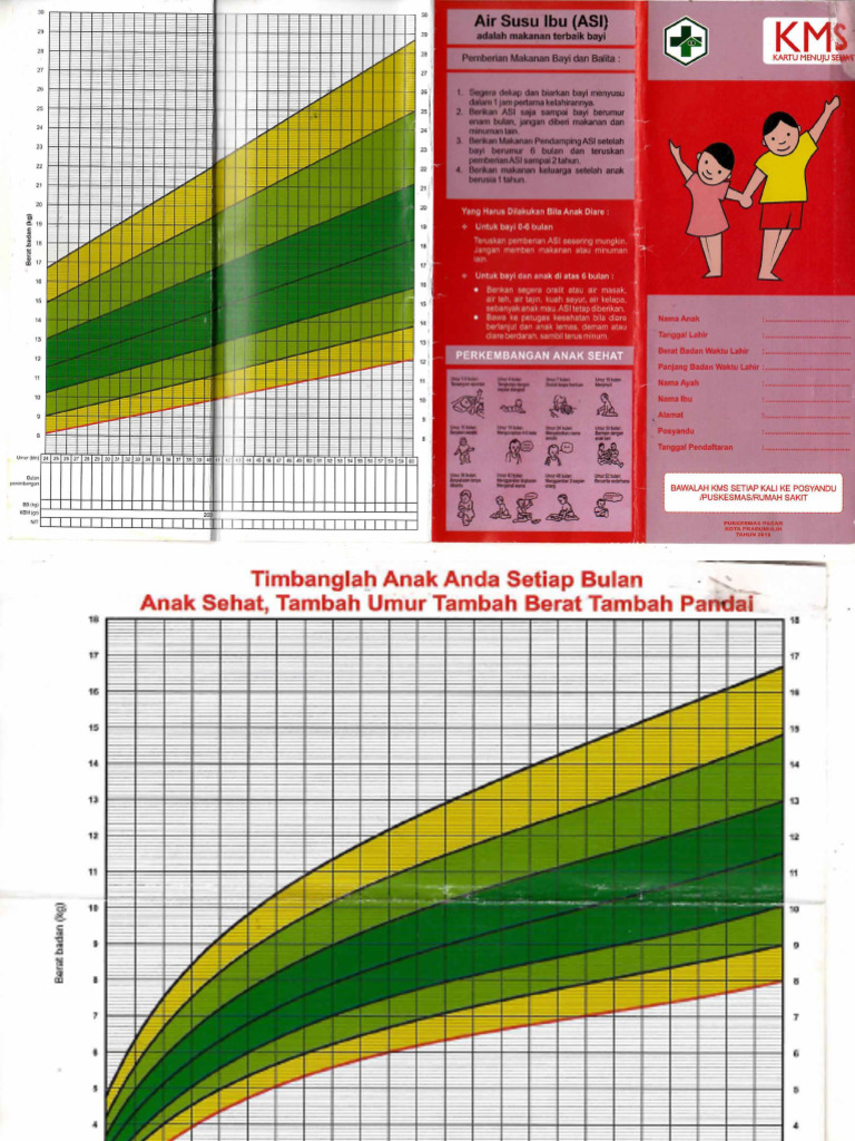 Scan Kms Anak Perempuan | PDF