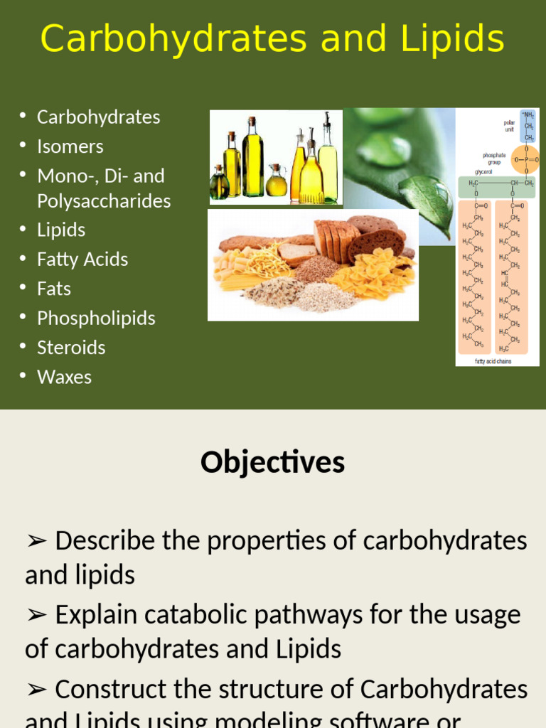 Carbohydrates and Lipids Overview | PDF | Carbohydrates | Fatty Acid