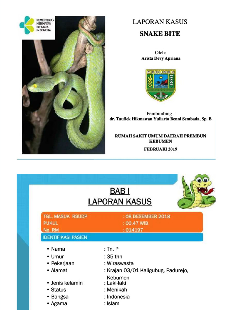 PDF Snake Bite Ppt Arista PDF Compress | PDF