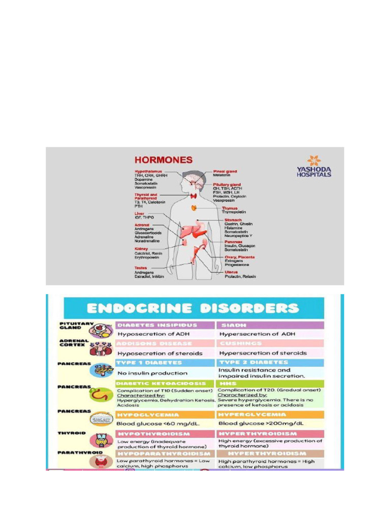Understanding Endocrine Disorders | PDF | Diabetes | Endocrine System