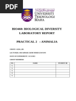 Lab Report 2 (Bio462) | PDF