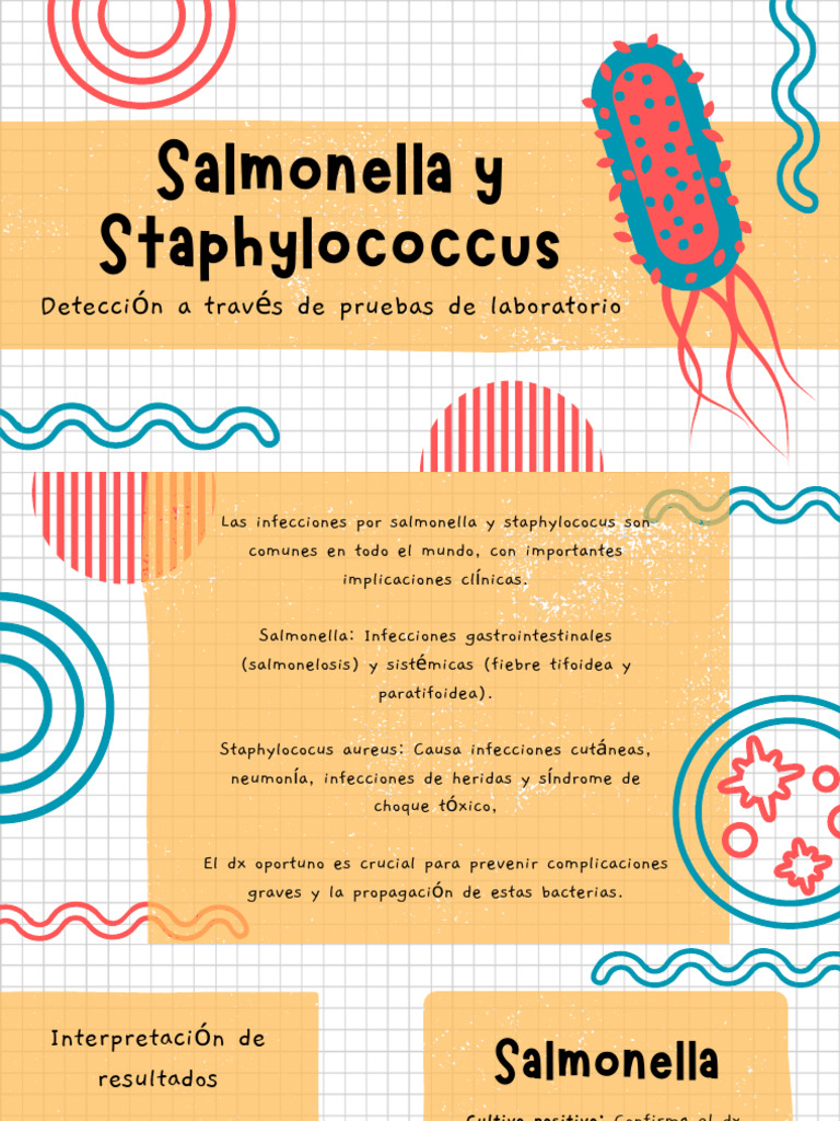 Bacteria Biology Presentation in A Bold Colorful Style PDF | PDF
