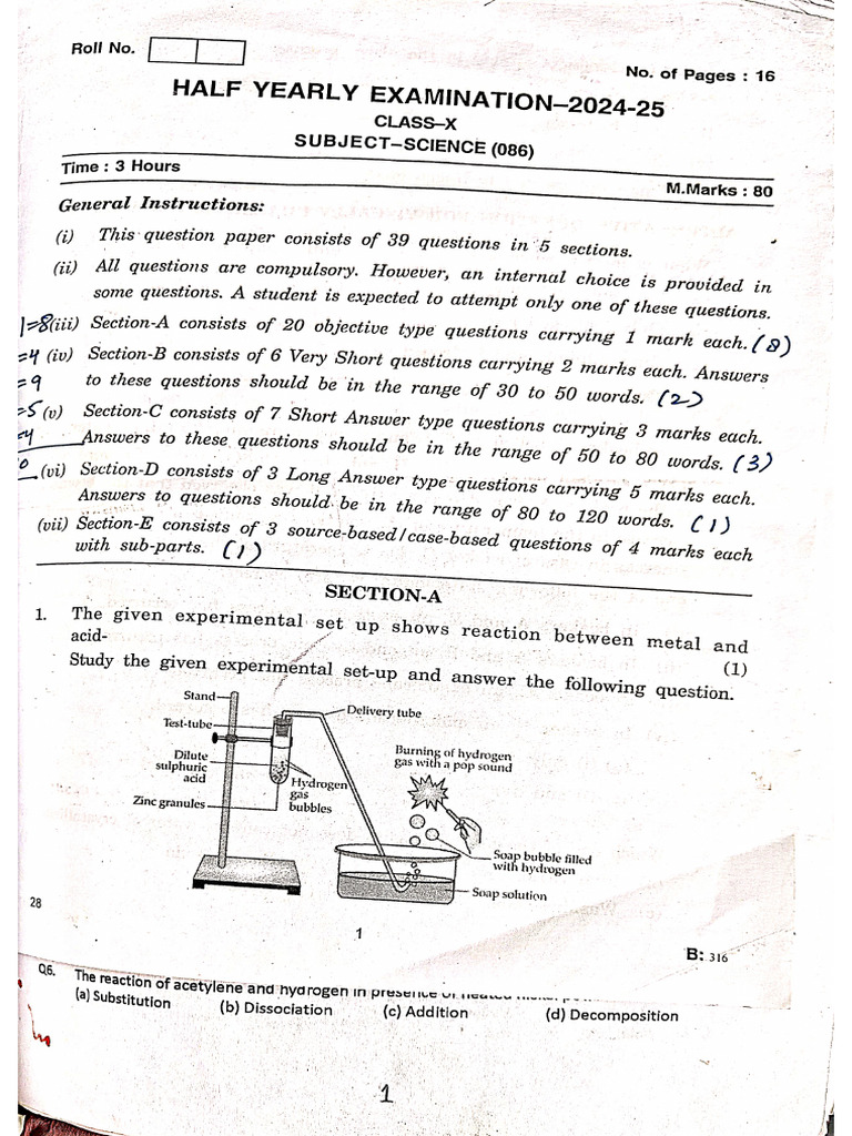 Half Yearly Science 2024-25 | PDF