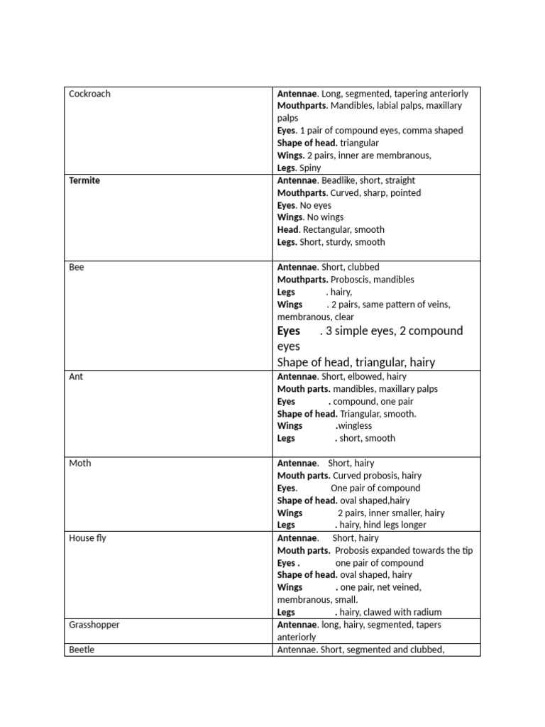 Characteristics of Insects | PDF