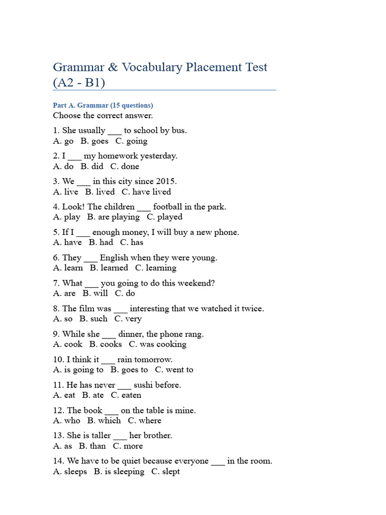 Grammar and Vocabulary Test | PDF