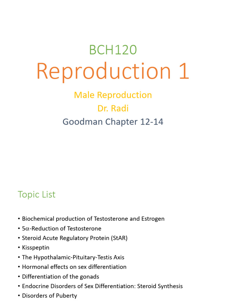 Male Reproductive Hormones And Functions Pdf Androgen Luteinizing