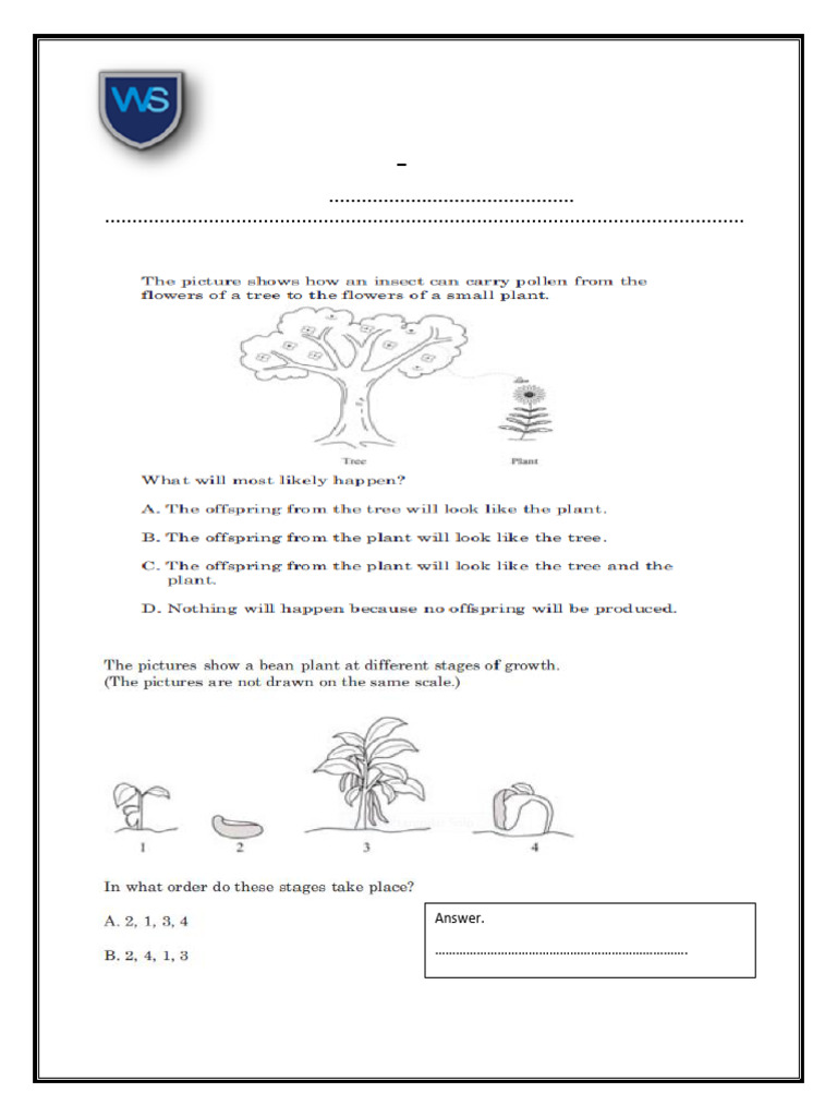 Year 5 Science: Plant & Animal Life Cycles | PDF | Seed | Flowers