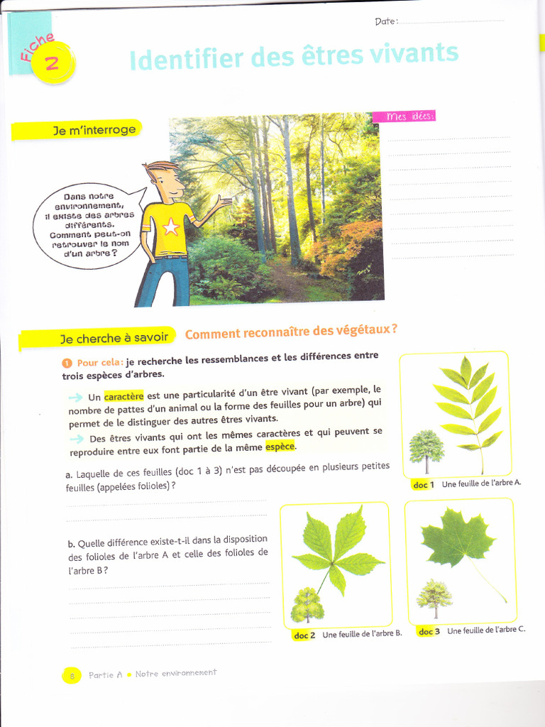 Fiche2 Identifier Les Etres Vivants | PDF