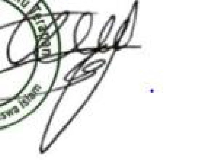Signature Only | PDF