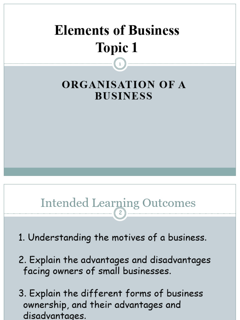Topic 1 Organisation of A Business | PDF | Franchising | Partnership