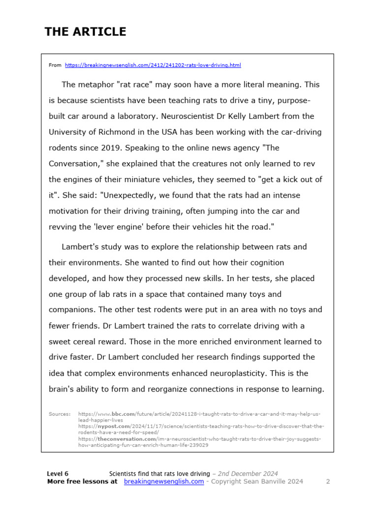 241202-Rats-Love-Driving-Các Trang Đã Xóa | PDF | Rat | Rodent