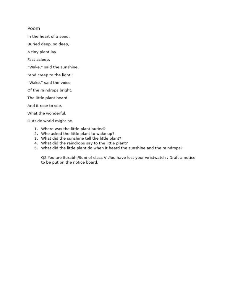 Class5 Worksheet | PDF