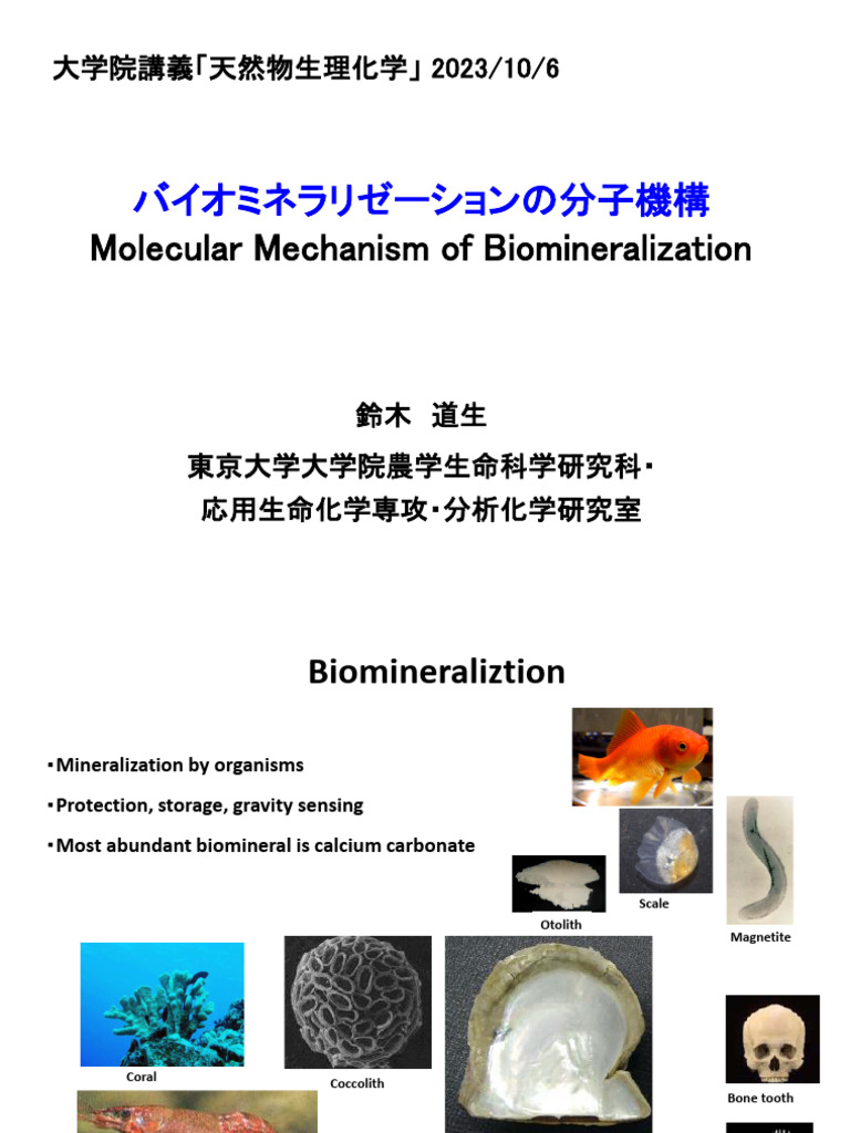 Molecular Mechanisms of Biomineralization | PDF | Protein Domain | Pearl
