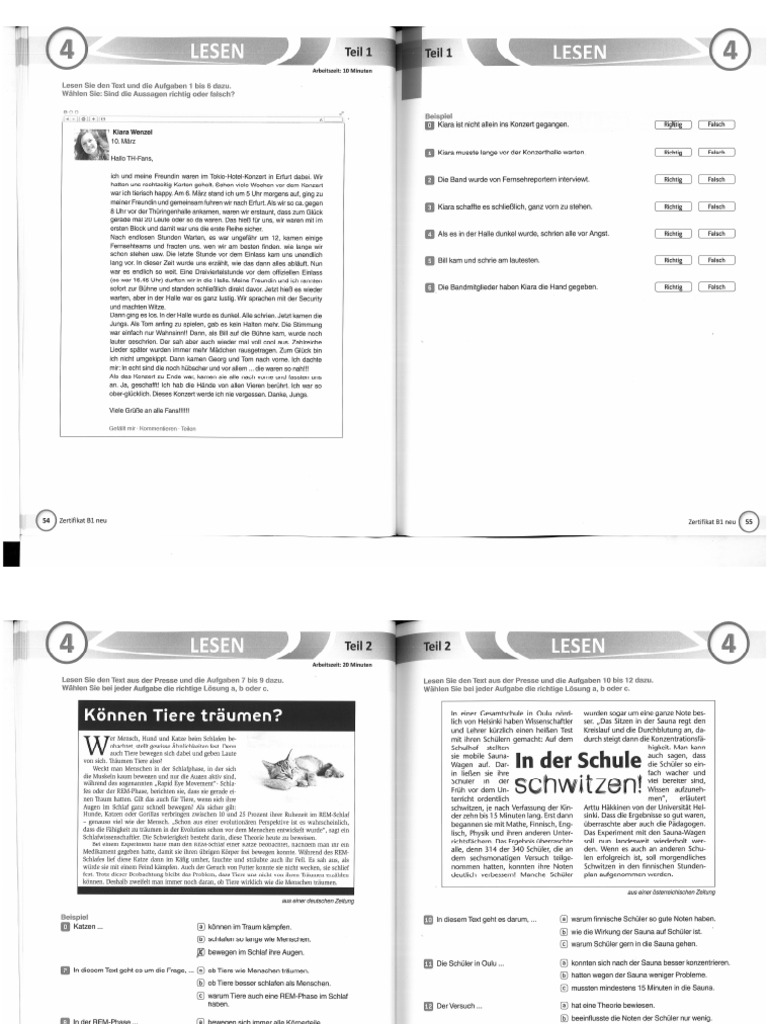 B1.1 Lesen | PDF