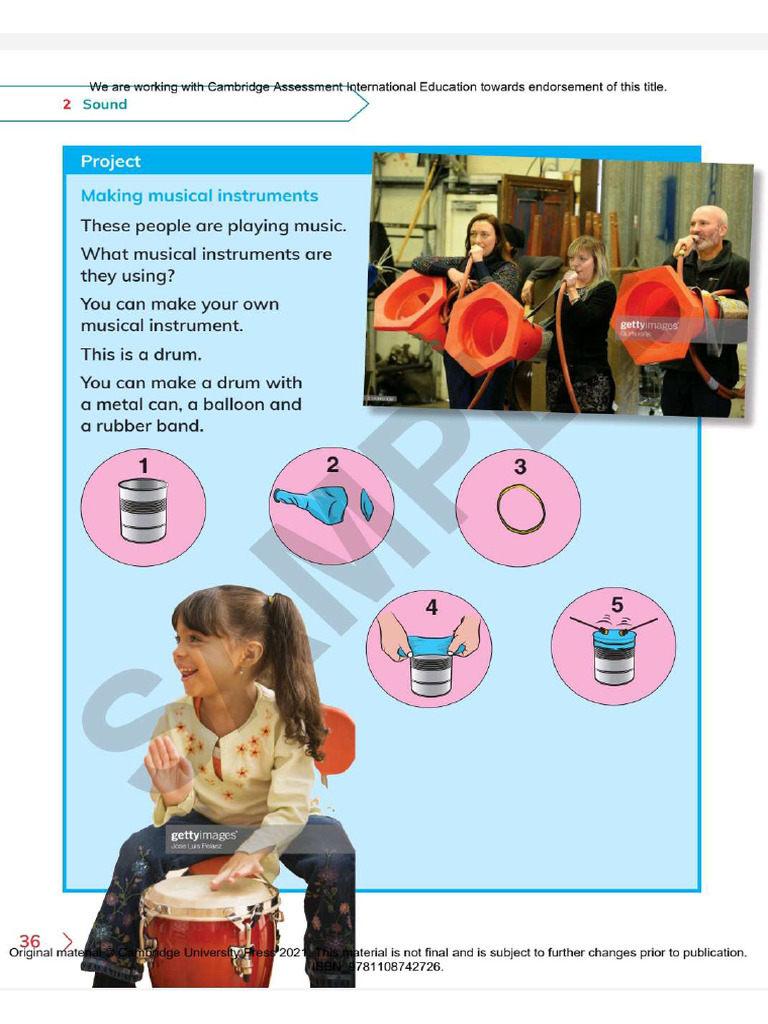 Musical Instrument Project | PDF