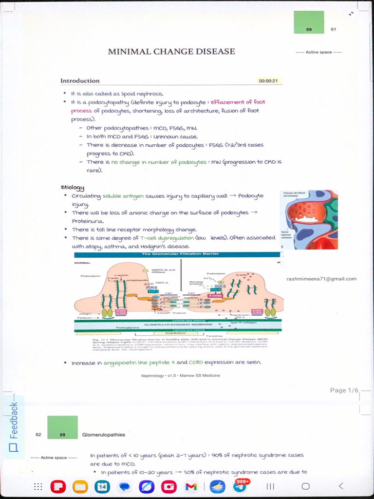 Mcd Pdf