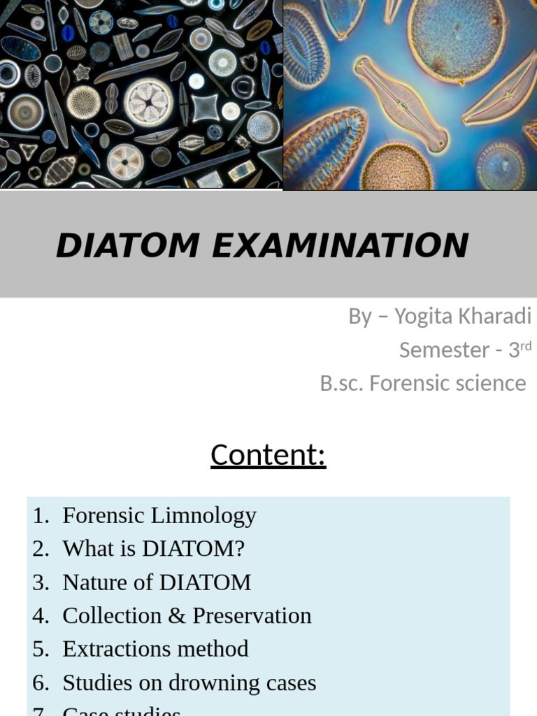 Diatoms in Forensic Limnology | PDF