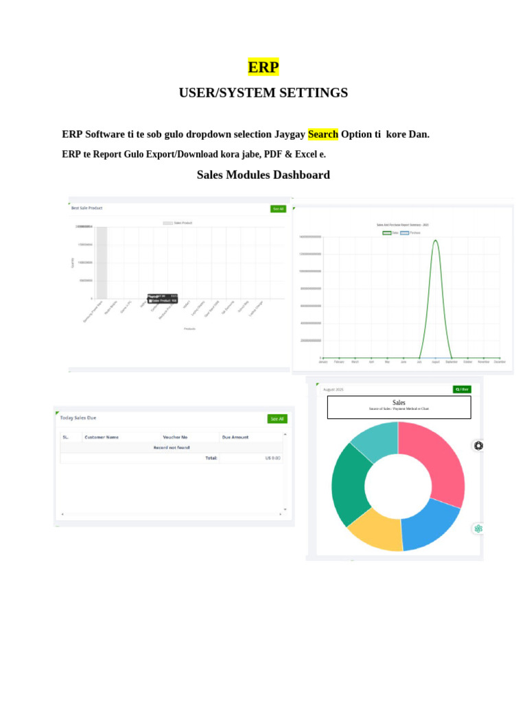 ERP Problem & Soluation | PDF | Business