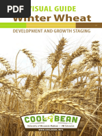 Understanding the Zadoks Growth Scale | PDF | Plant Morphology | Plant ...