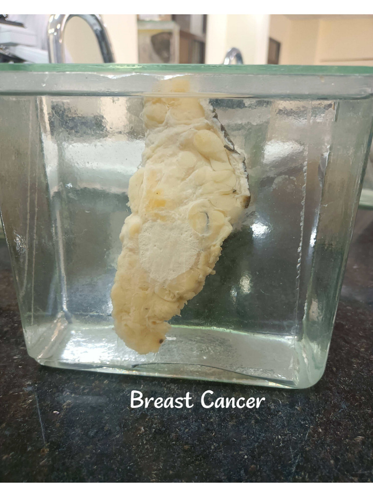 Patho Specimen (2023) | PDF