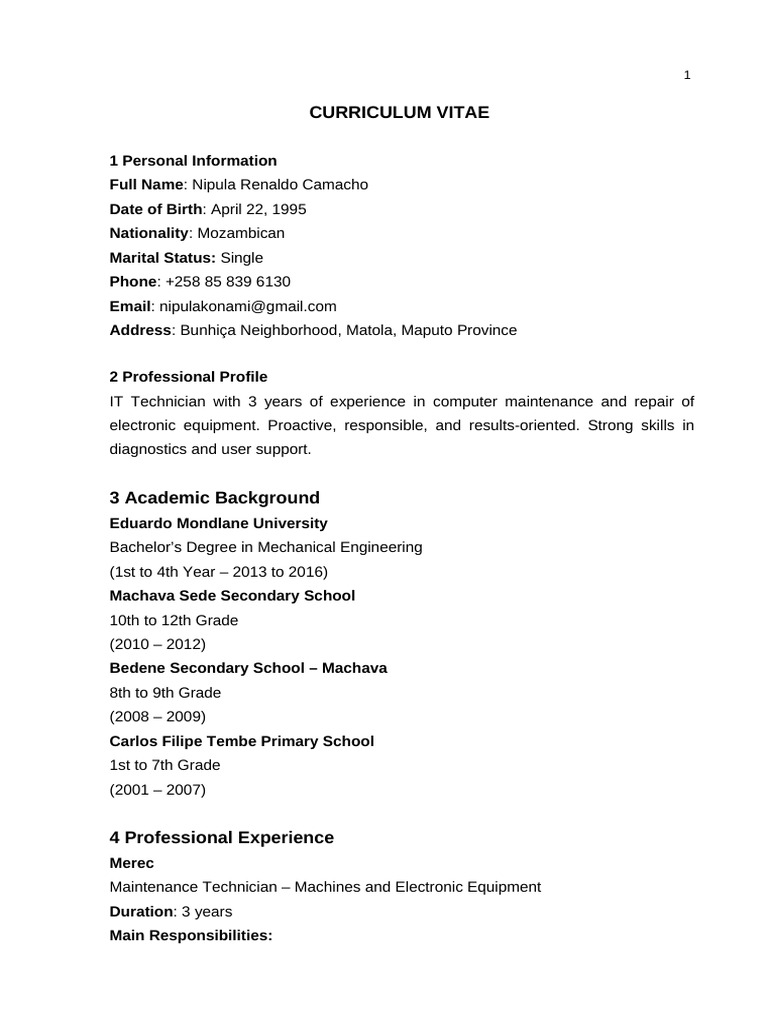 IT Technician CV - Nipula Camacho | PDF