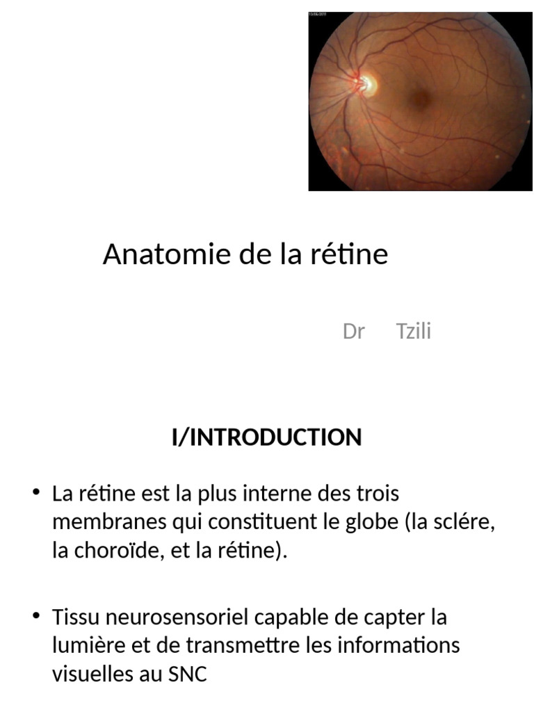 Anatomie et couches de la rétine | PDF
