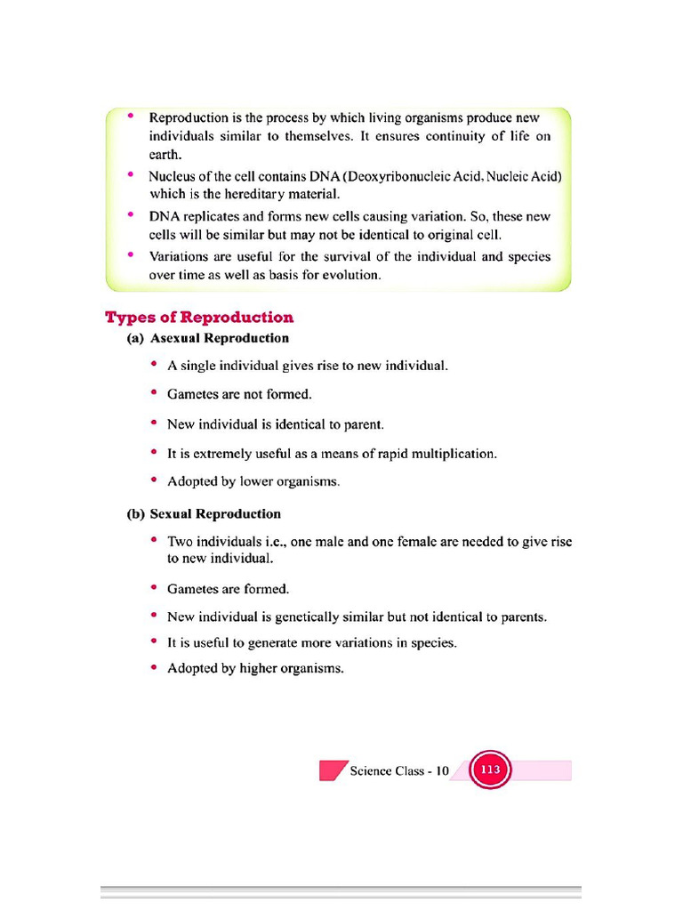 Notes of Asexual Reproduction. | PDF