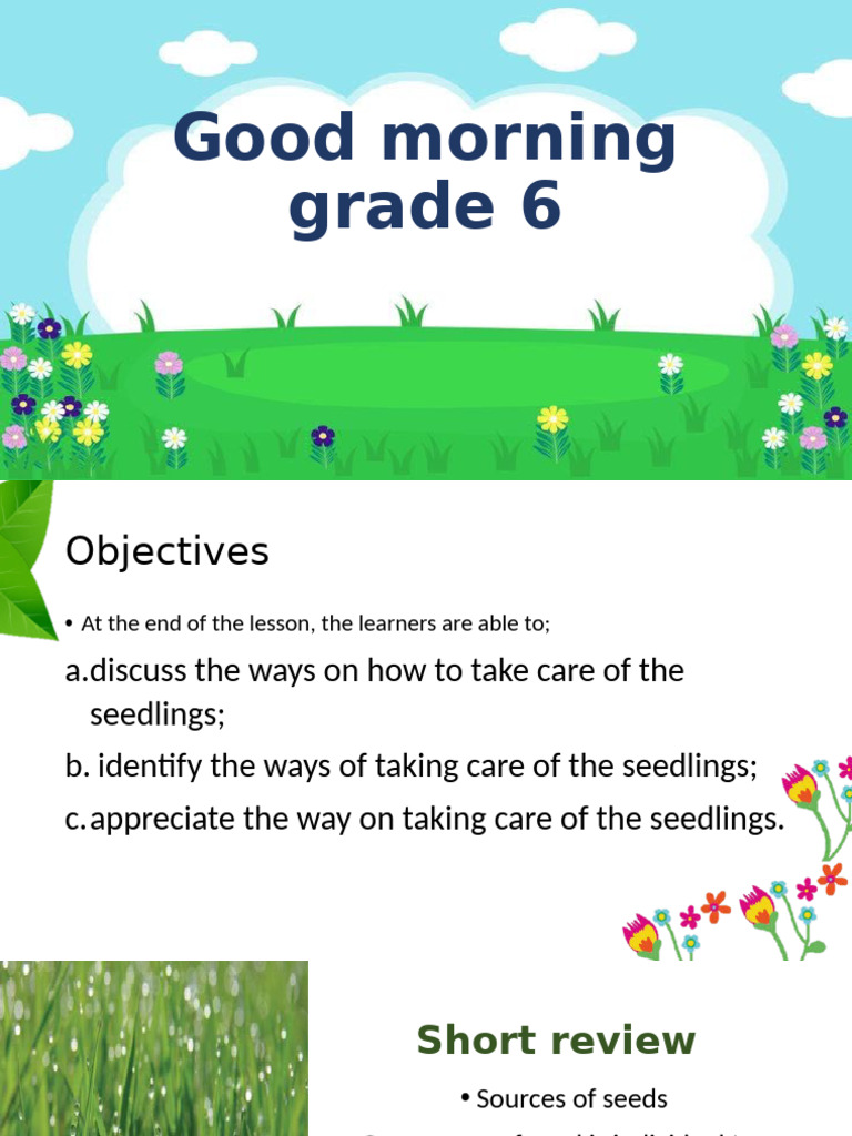 5 Essential Seedling Care Tips | PDF | Seed | Seedling