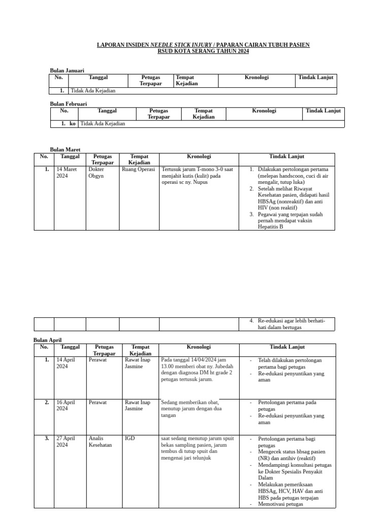 Laporan NSI 2024 | PDF