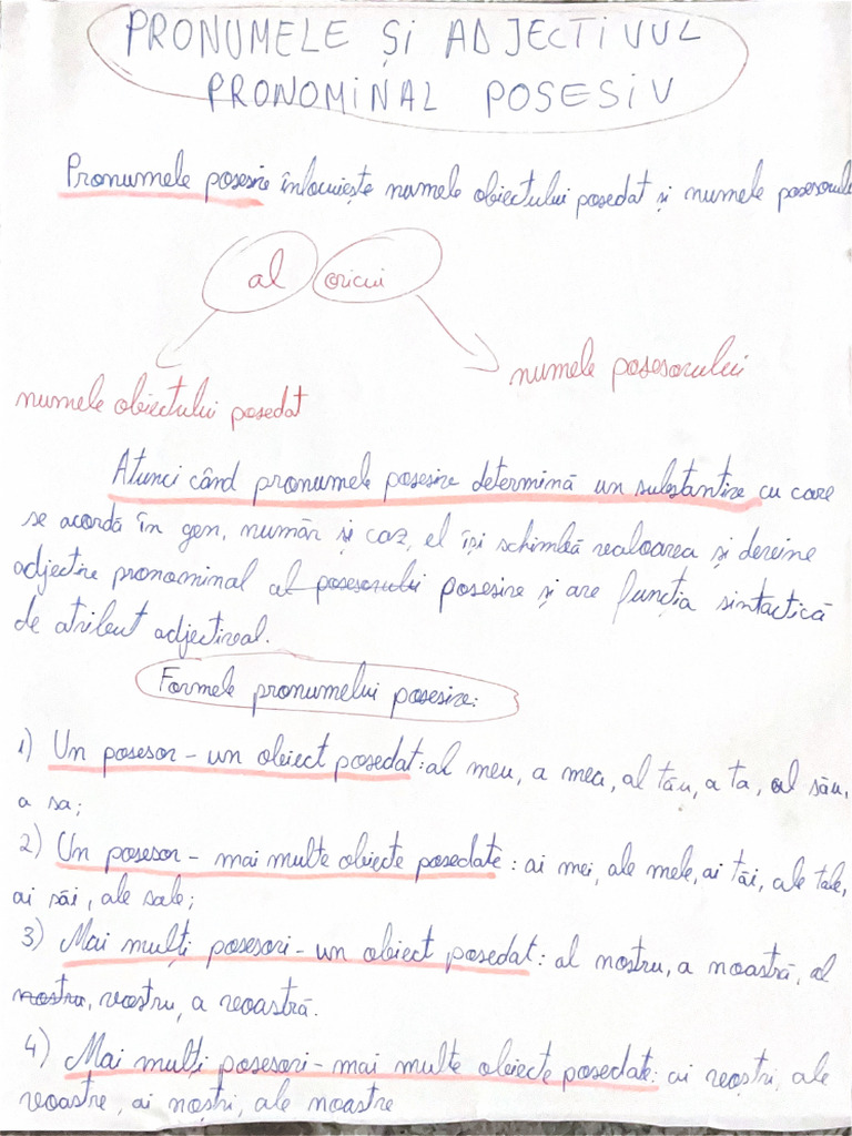 Pronumele Și Adjectivul Pronominal Posesiv | PDF