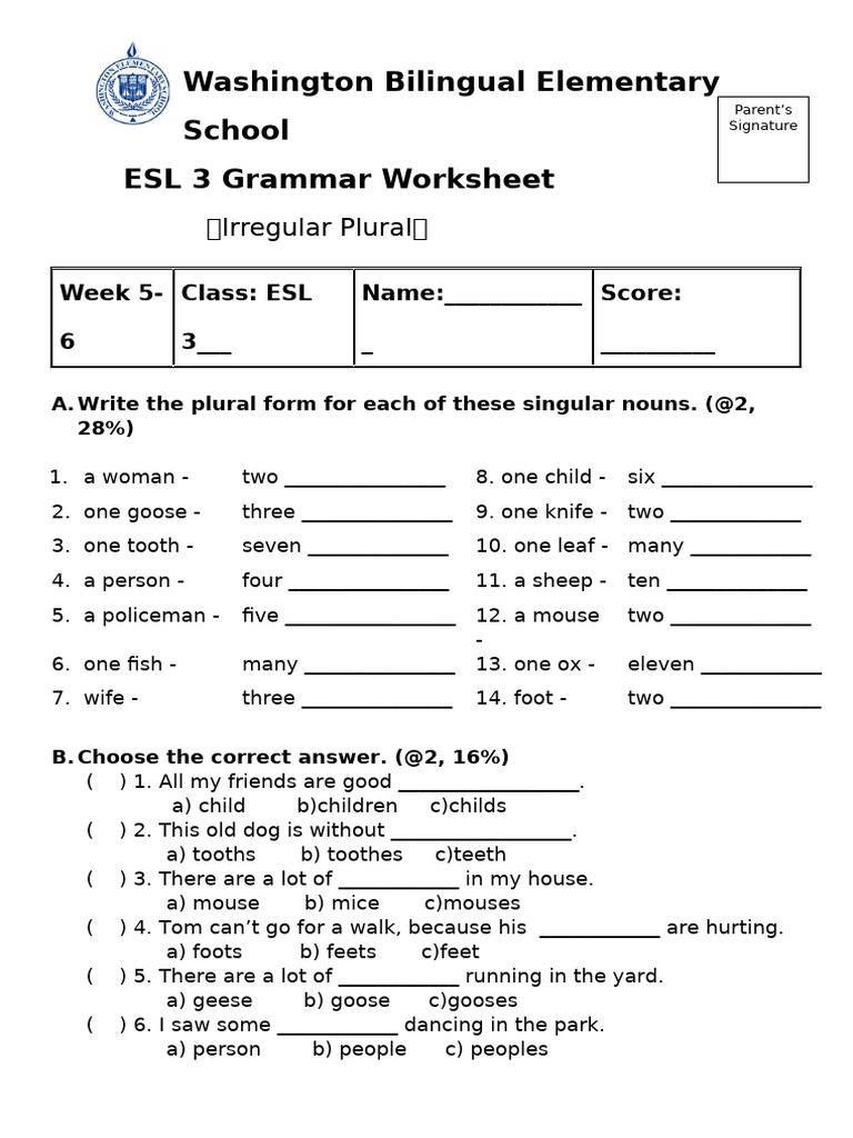 ESL 3 Irregular Plurals Worksheet | PDF | Plural