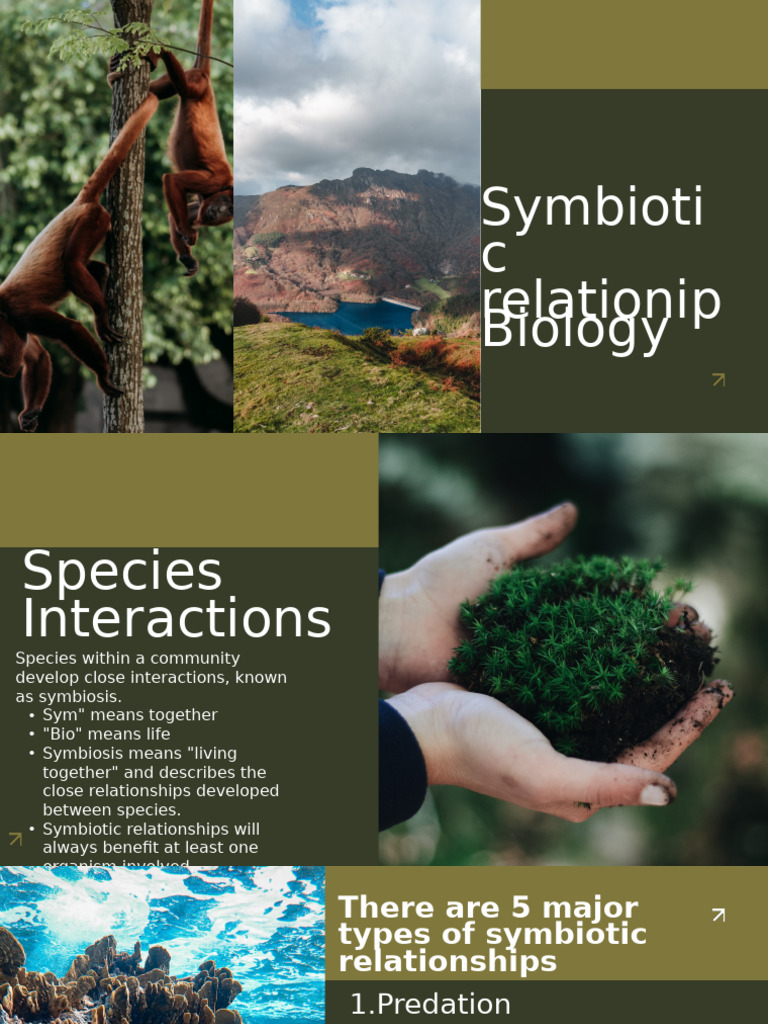 Types of Symbiotic Relationships | PDF | Ecological Niche | Symbiosis
