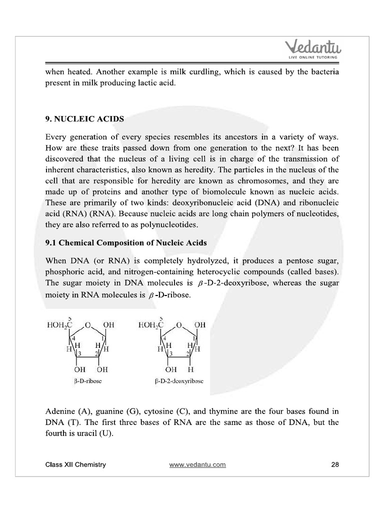Print Bio Molecules | PDF
