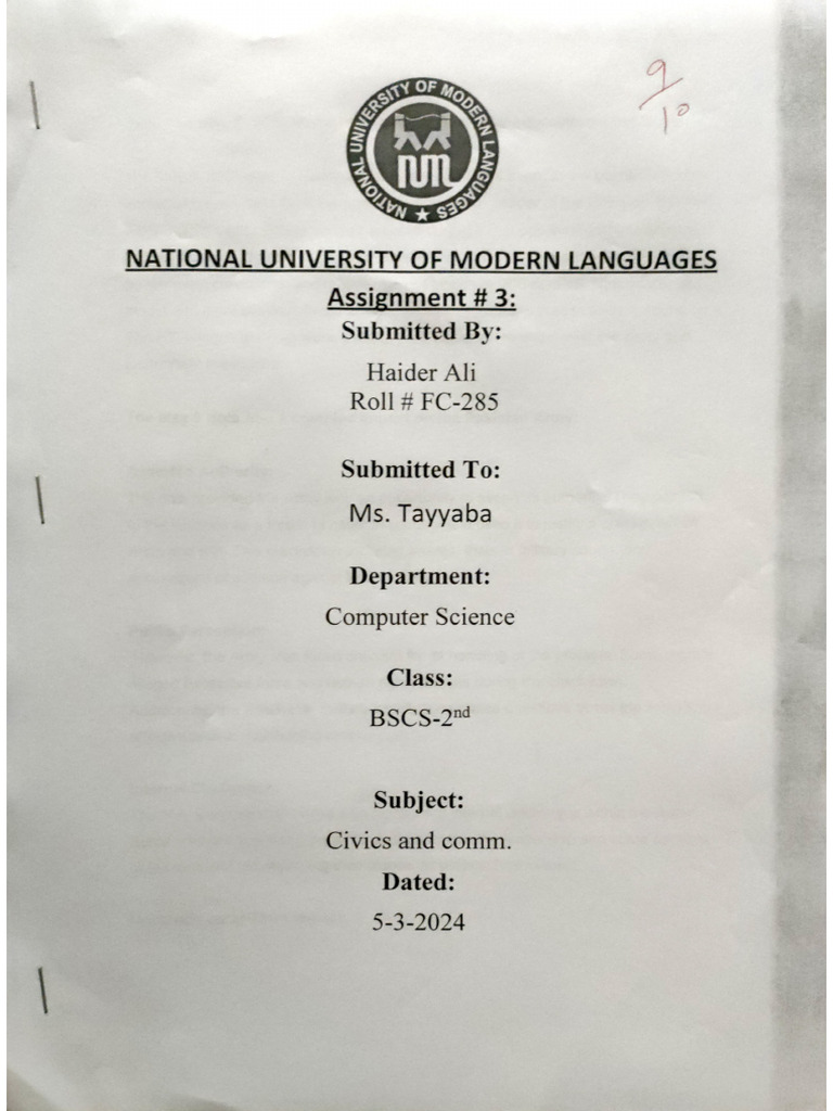 Assignment 3 Civics | PDF