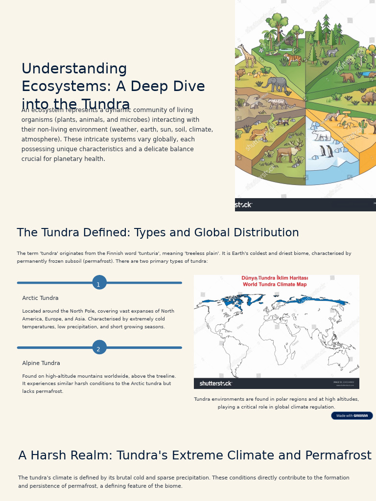 Tundra Ecosystem: Life and Challenges | PDF | Climate Change | Arctic