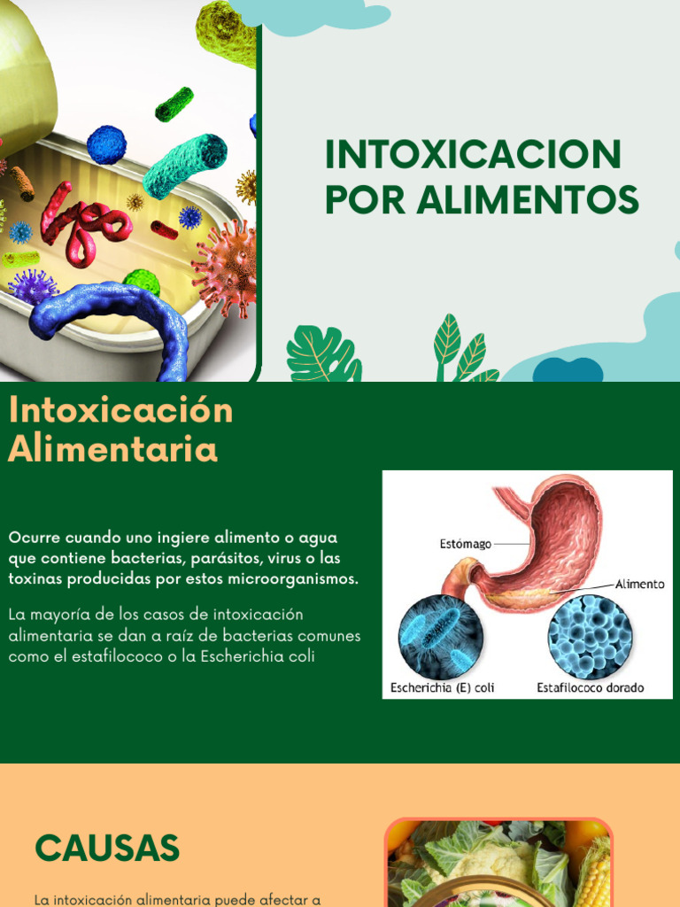 Prevención y síntomas de intoxicación alimentaria | PDF | Diarrea ...