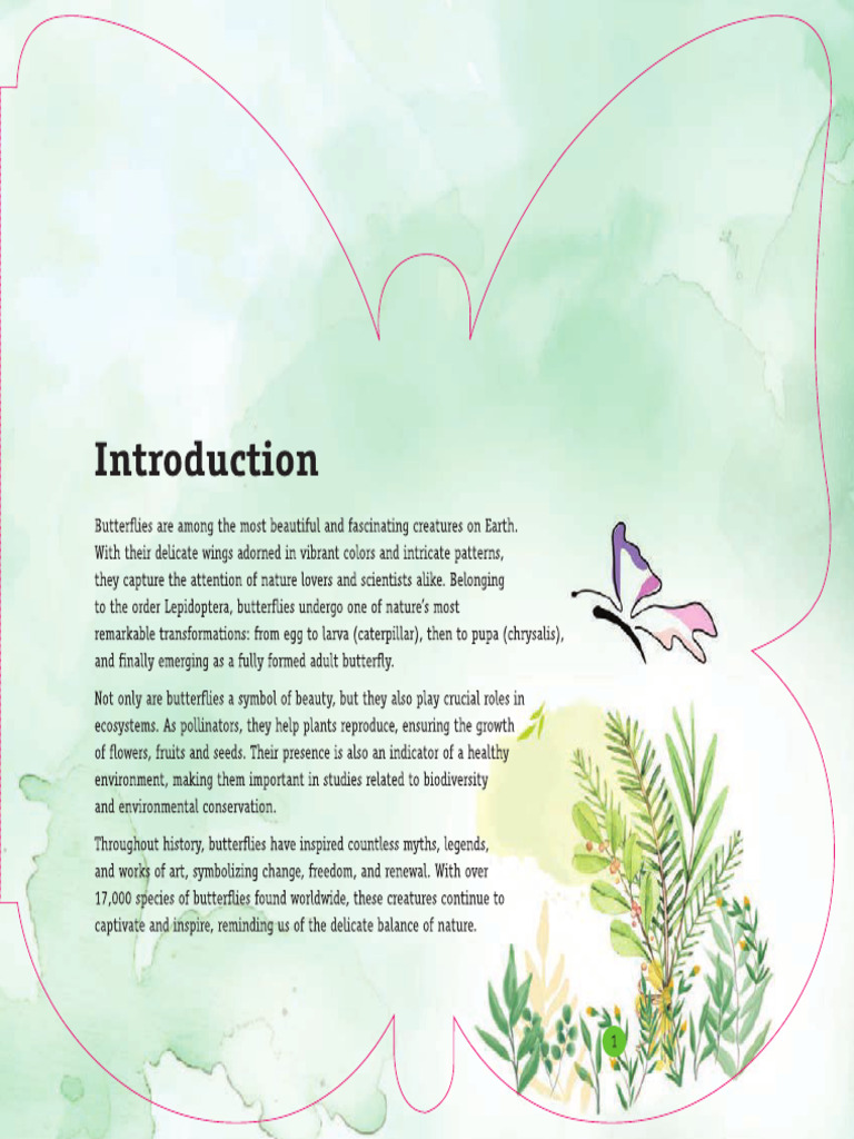 ButterflyBook Jharkhand Species Found Indigenous | PDF